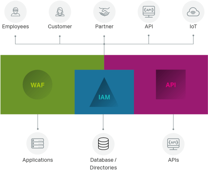 Web Application and API Protection (WAAP) - Combined protection for web ...